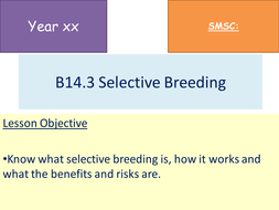 Selective Breeding - AQA GCSE (4.6.2) (B14.3) | Teaching Resources