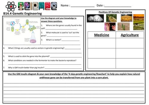 Genetic Engineering - AQA GCSE (4.6.2) (B14.4) | Teaching Resources