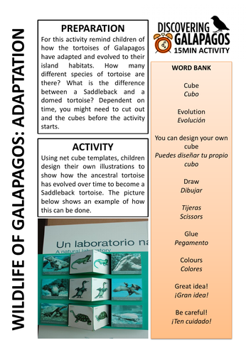 Teach evolution in a day! (Galapagos study) | Teaching Resources
