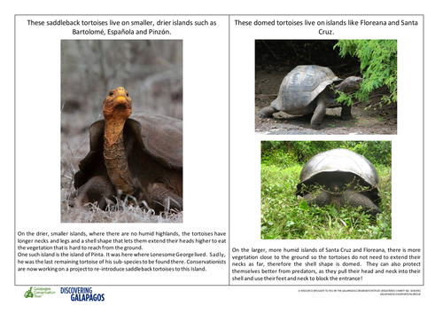 Teach evolution in a day! (Galapagos study) | Teaching Resources