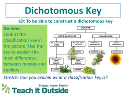 KS3 Plant Biology Scheme of Work | Teaching Resources