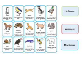 Animals, Including Humans Year 1 Science Lessons and Planning - 5 weeks ...