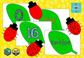 Numbers 0 to 20 - Ladybird Matching | Teaching Resources