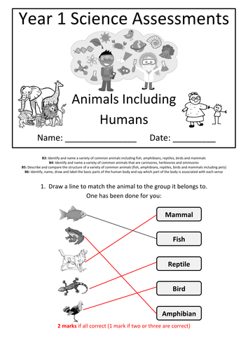 Year 1 Science Assessment: Animals, Including Humans + Revision Sheet ...
