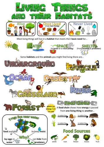 Year 2 Science Assessment: Living Things and Their Habitats + Revision ...