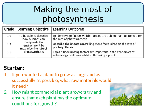 NEW AQA GCSE Biology - 'Bioenergetics' lessons | Teaching Resources