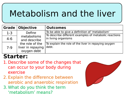 NEW AQA Trilogy GCSE (2016) Biology - Metabolism and the liver ...
