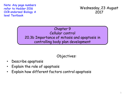 Cellular Control NEW A-level biology spec: Lac operon; Homeobox; Body ...