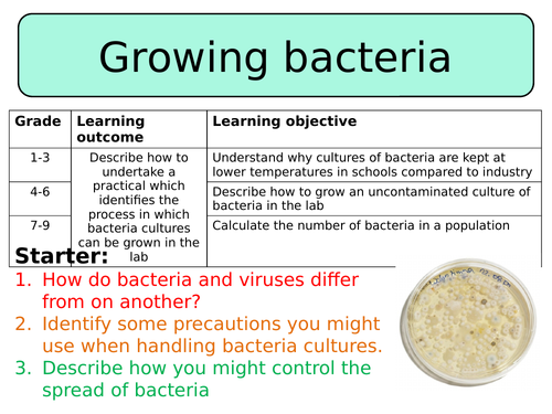 NEW AQA Trilogy GCSE (2016) Biology - Growing Bacteria HT | Teaching ...