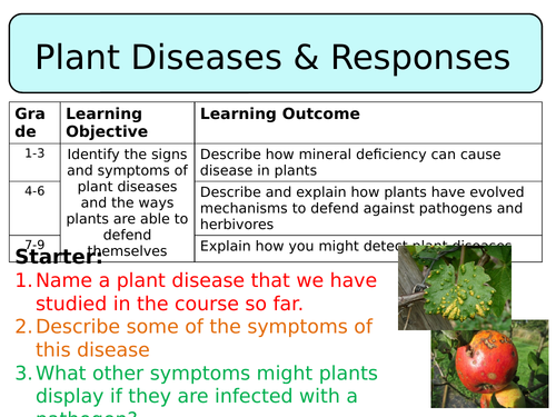 NEW AQA Trilogy GCSE (2016) Biology - Plant diseases & responses HT ...