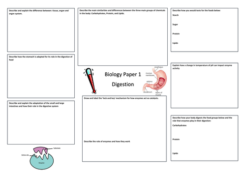 NEW SPEC GCSE Biology Revision Mats - Set 1 | Teaching Resources