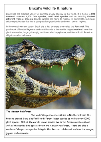 Brazil - Set of three A4 Display Posters / comprehension texts for Y5/6 ...