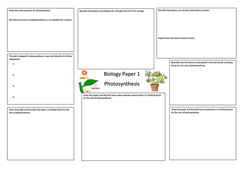 NEW SPEC GCSE Biology Revision Mats - Set 2 | Teaching Resources