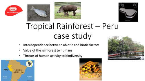 GCSE 9-1; Ecosystems case study - Value of the Peruvian rainforests ...
