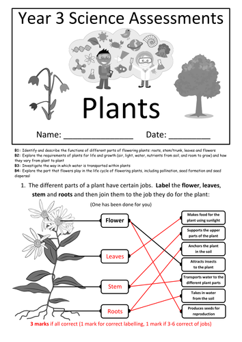 Year 3 Science Assessment: Plants + Revision Sheet/Poster | Teaching ...