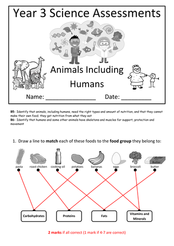 Year 3 Science Assessment: Animals, Including Humans + Revision Sheet ...