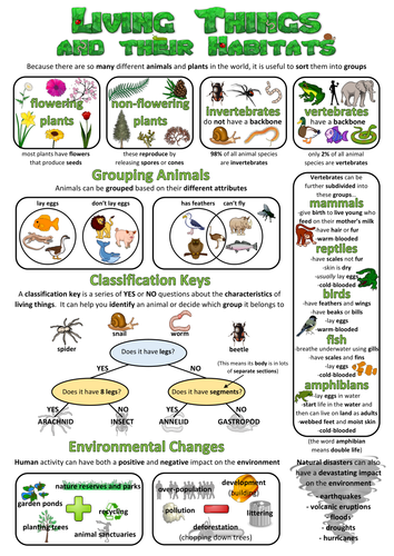 Year 4 Science Assessment: Living Things and Their Habitats + Revision ...