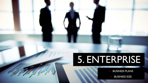 CIE iGCSE Business 0450 Unit 1 Understanding Business | Teaching Resources