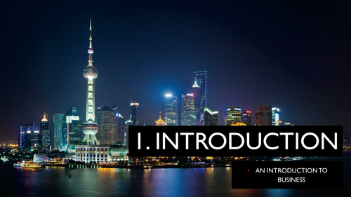 CIE iGCSE Business 0450 Unit 1 Understanding Business | Teaching Resources