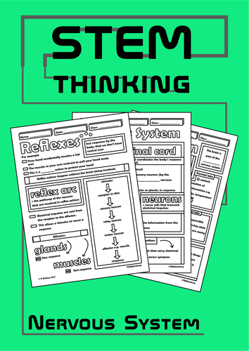 Nervous System, Brain Structure, Reflexes Biology Doodle Notes ...