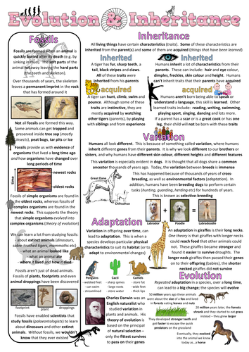 Year 6 Science Assessment: Evolution and Inheritance + Revision Sheet ... Year 6 Science Assessment: Evolution and Inheritance + Revision Sheet ...