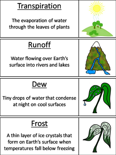 The Water Cycle Word Wall Cards | Teaching Resources