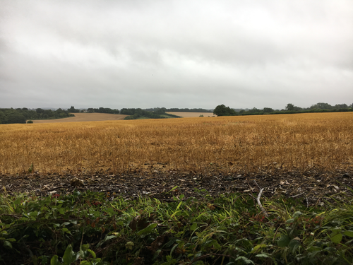 Throwley Village, Kent, England | Teaching Resources