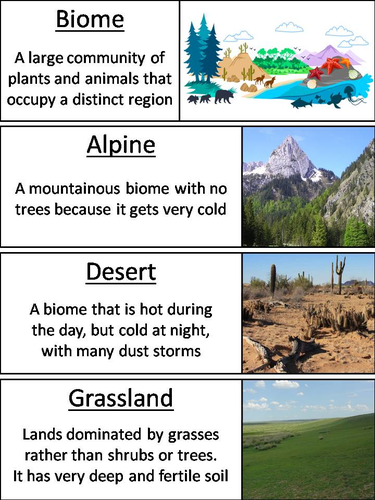 Biomes Word Wall Cards | Teaching Resources