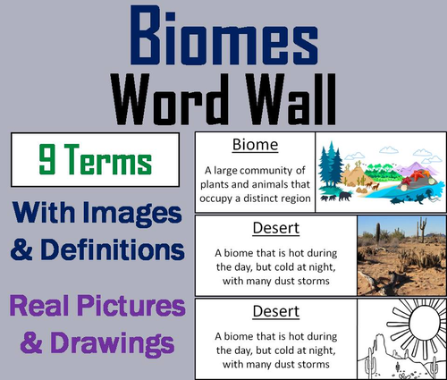 Biomes Word Wall Cards | Teaching Resources
