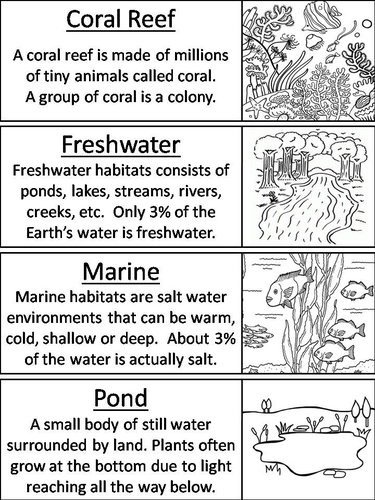 Animal Habitats Word Wall Cards | Teaching Resources
