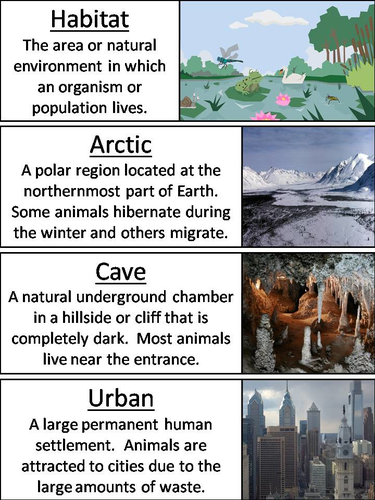 Animal Habitats Word Wall Cards | Teaching Resources
