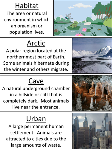 Animal Habitats Word Wall Cards | Teaching Resources