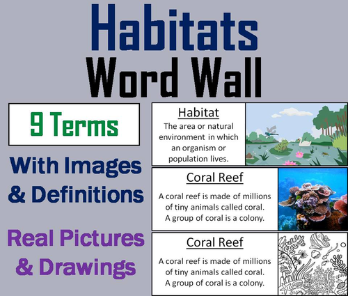 Animal Habitats Word Wall Cards | Teaching Resources