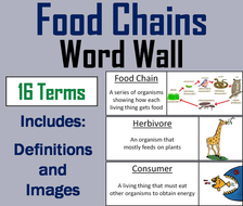 Food Chains Word Wall Cards | Teaching Resources