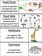Food Chains Word Wall Cards | Teaching Resources
