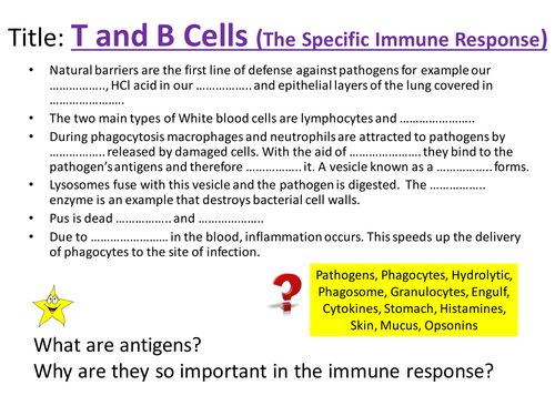 The Specific (Humoral) Immune Response - OCR AS/A Level Biology ...