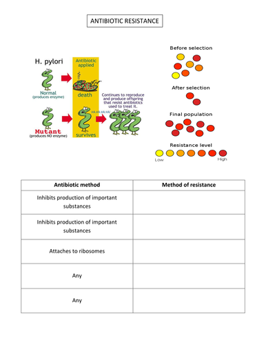 Antibiotics - OCR AS/A Level Biology | Teaching Resources