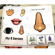 Five Senses Adapted Books | Teaching Resources