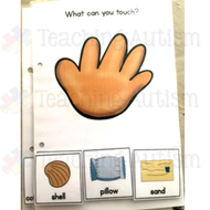 Five Senses Adapted Books | Teaching Resources