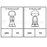 Emotions Feelings Yes / No Questions | Teaching Resources