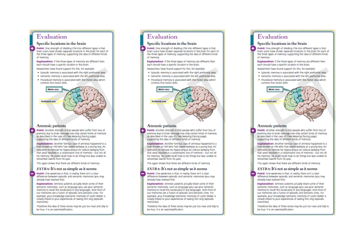 PROCESSES OF MEMORY bundle 8182 Cognition & behaviour | Teaching Resources