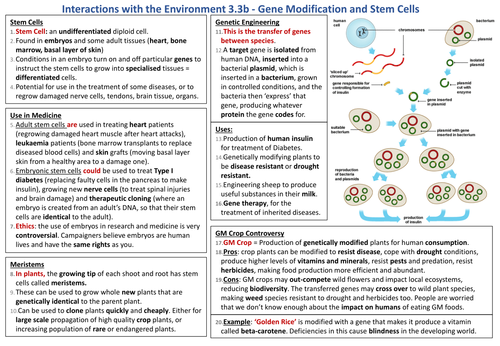 Knowledge Organiser AQA 9-1 GCSE Synergy - genetic modification and ...