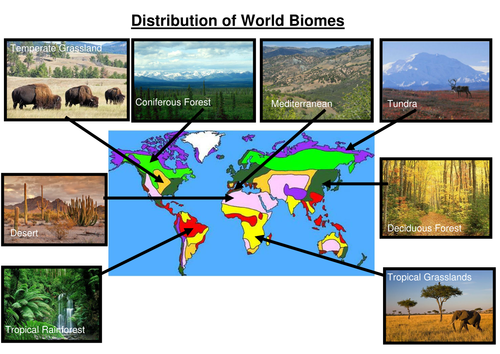 NEW AQA GCSE THE LIVING WORLD CH 5 ECOSYSTEMS- 5 whole lessons ...