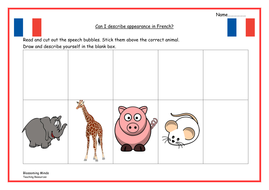 French lesson and resources - Height and size | Teaching Resources