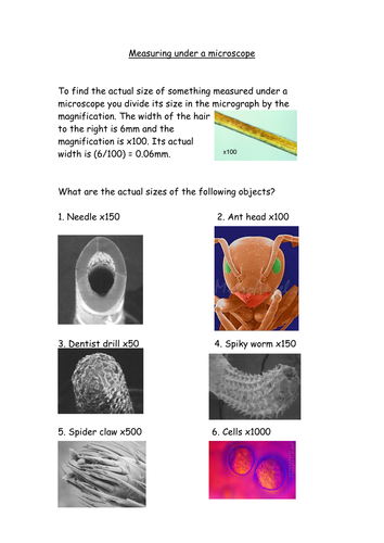 New AQA GCSE trilogy/biology- magnification | Teaching Resources New AQA GCSE trilogy/biology- magnification | Teaching Resources