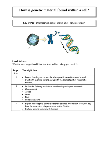 New AQA GCSE trilogy/biology- chromosomes | Teaching Resources