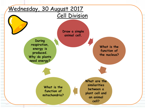 New AQA GCSE trilogy/biology- cell division and stem cells | Teaching ...