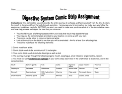 New AQA GCSE trilogy/biology- organisation- digestive system | Teaching ...