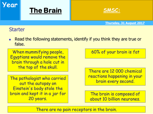 The brain | Teaching Resources