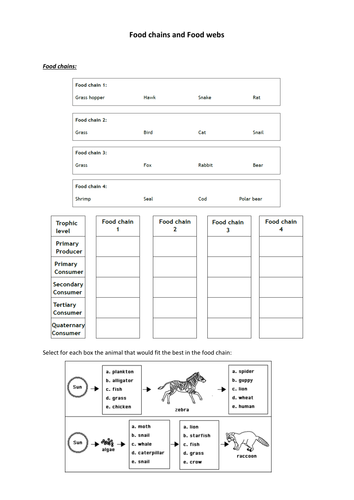 Grade 4/Ecology/Habitats/Food chains and food webs | Teaching Resources